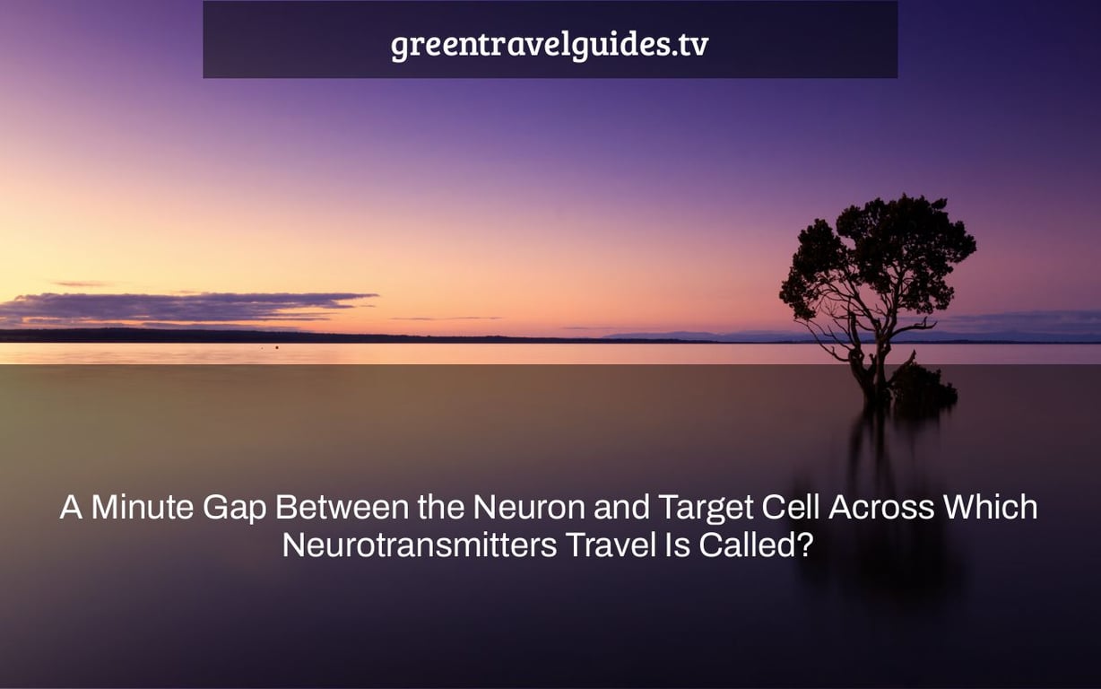 A Minute Gap Between the Neuron and Target Cell Across Which ...