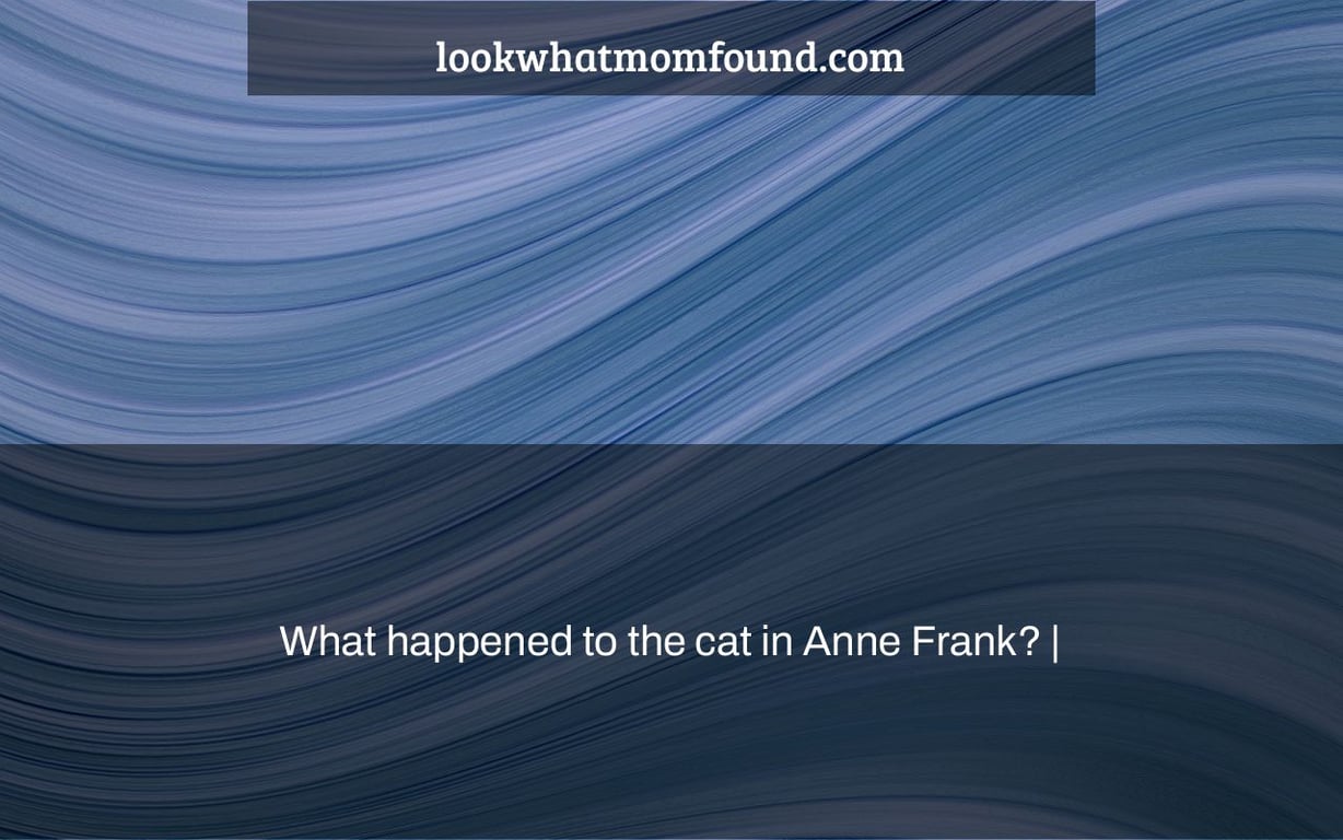 What happened to the cat in Anne Frank?