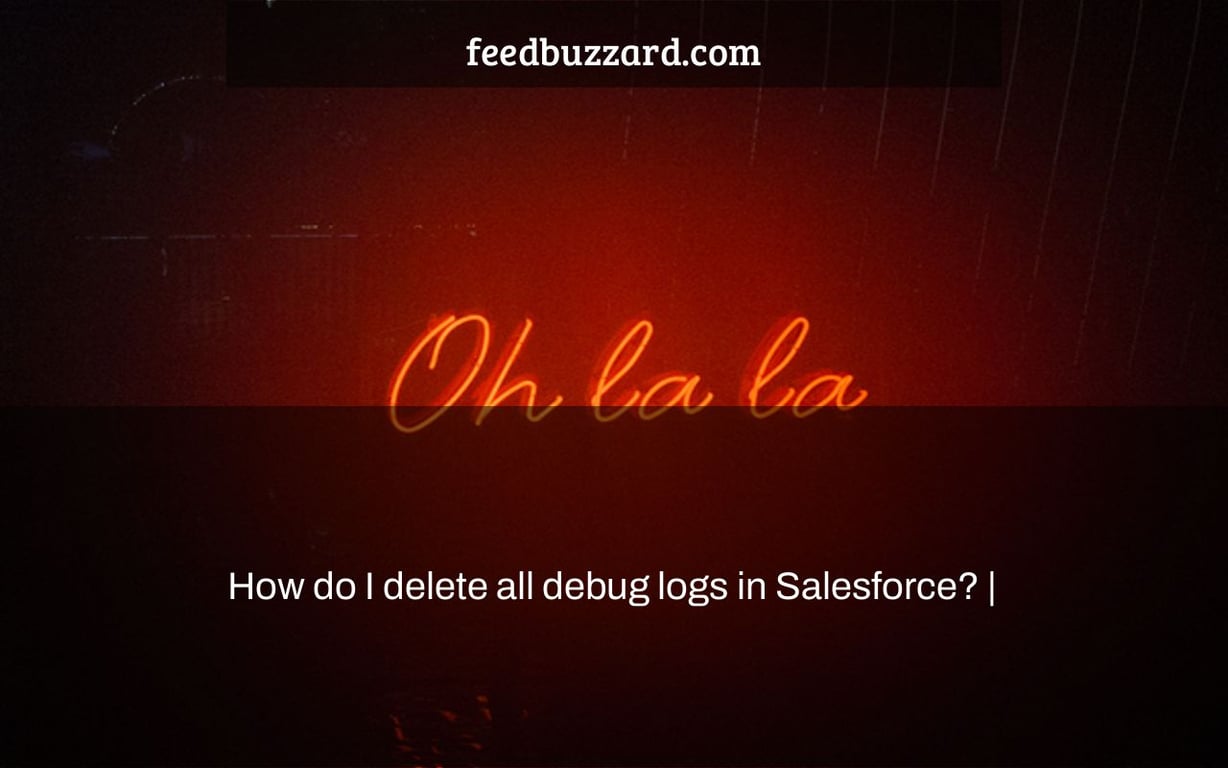 How Do I Delete All Debug Logs In Salesforce Feed Buzzard