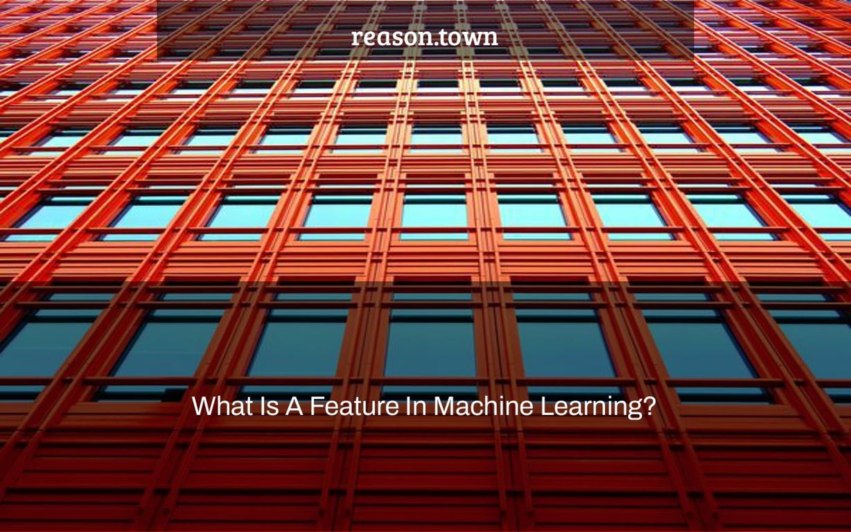 What Is A Feature In Machine Learning? - reason.town