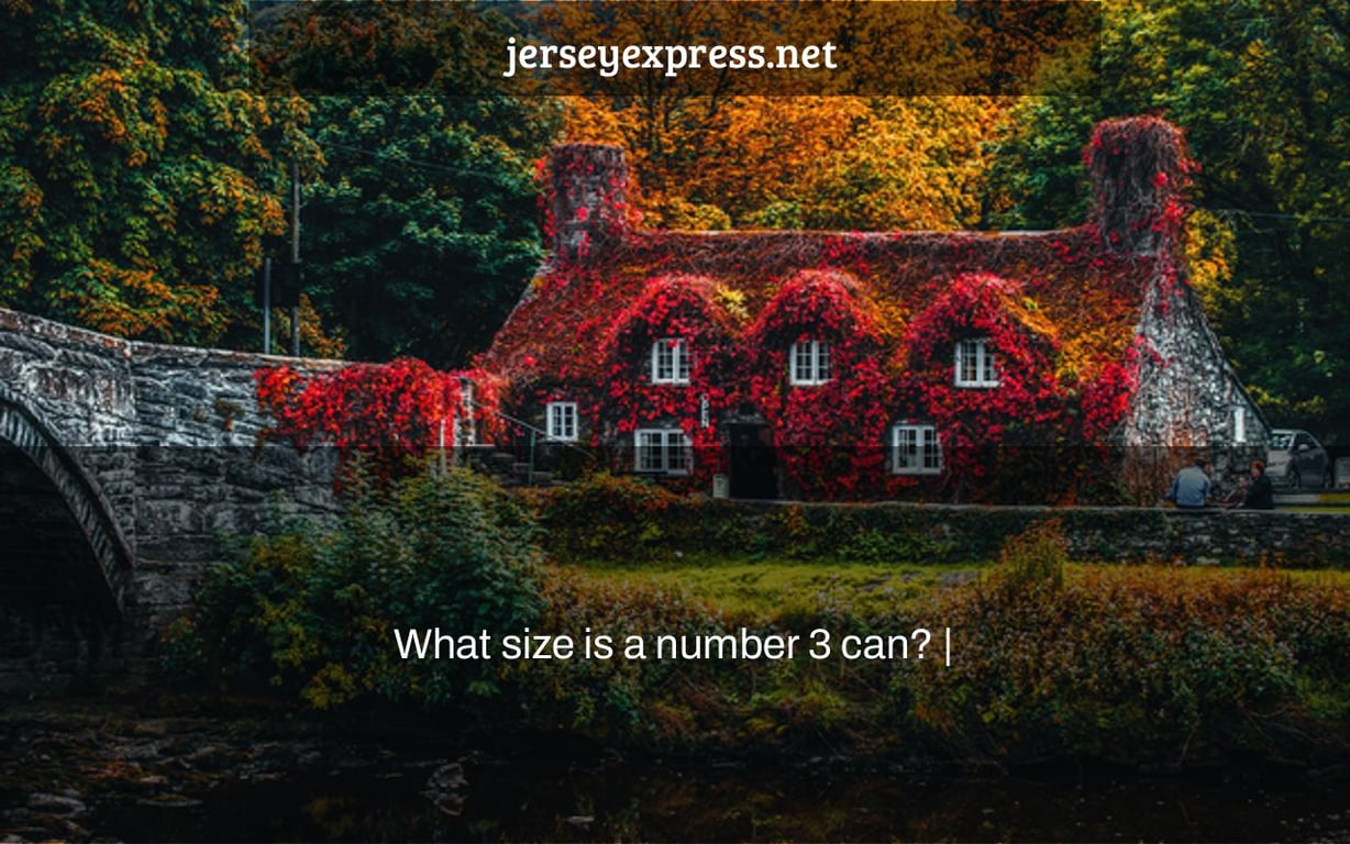 What size is a number 3 can? | - Jersey Express