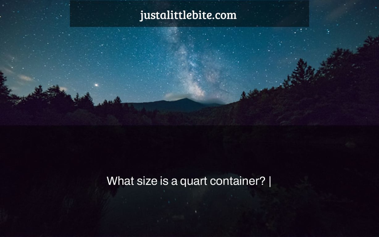 What Size Is A Quart Container JustALittleBite
