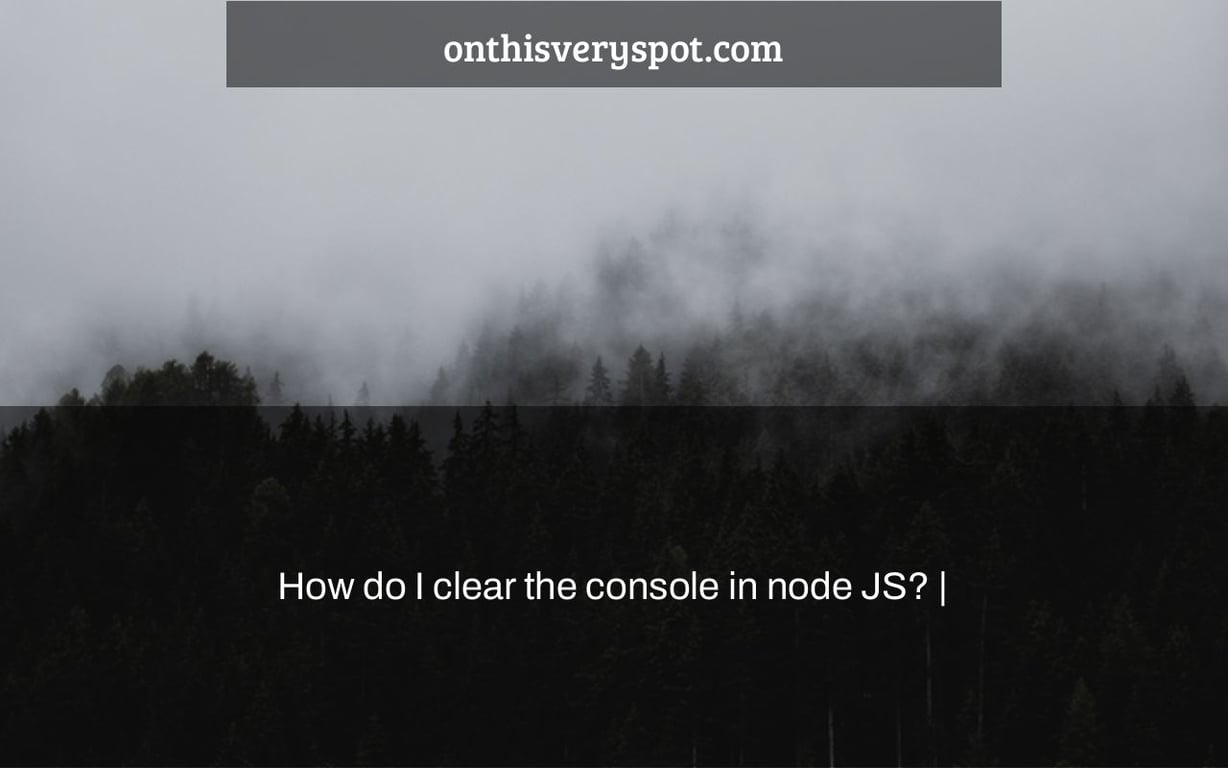 How do I clear the console in node JS? | - On This Very Spot How do I clear the console in node JS? | - On This Very Spot