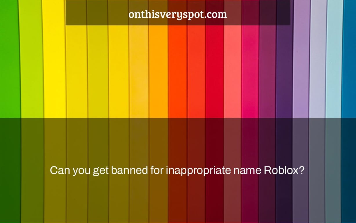 Can you get banned for inappropriate name Roblox? - On This Very Spot