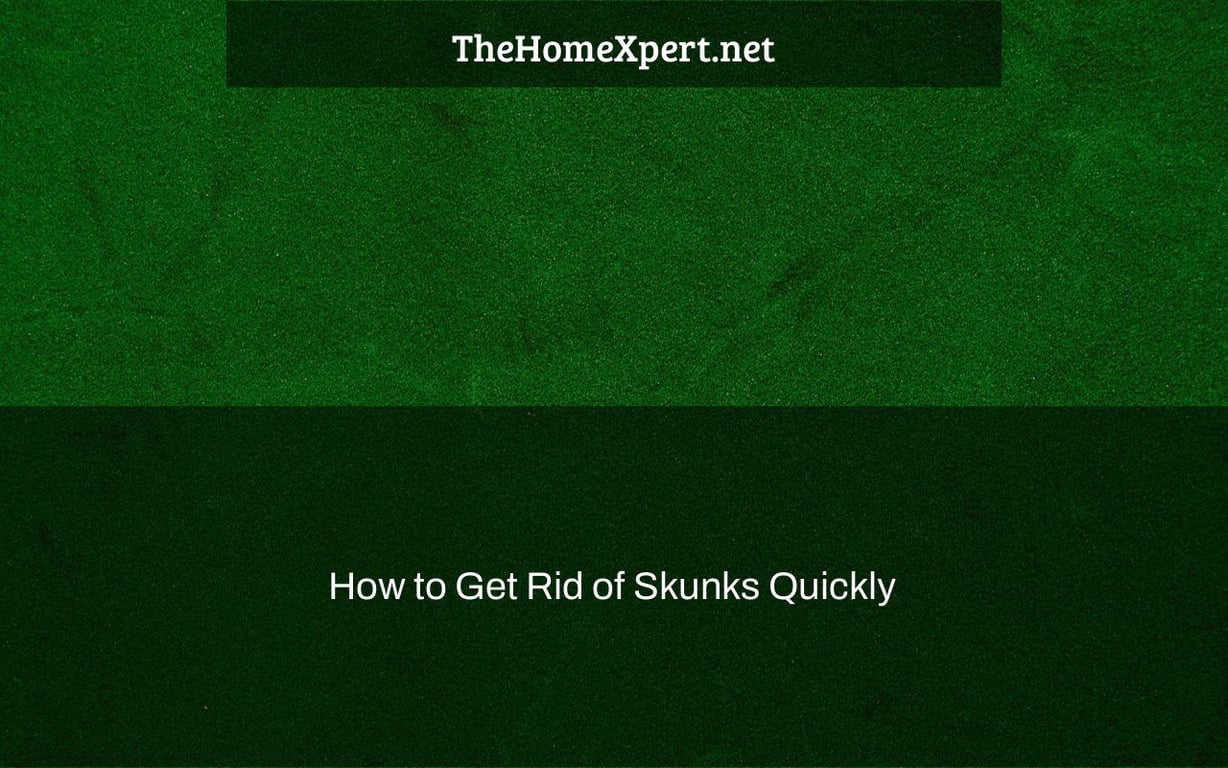 How to Get Rid of Skunks Quickly - The Home Expert