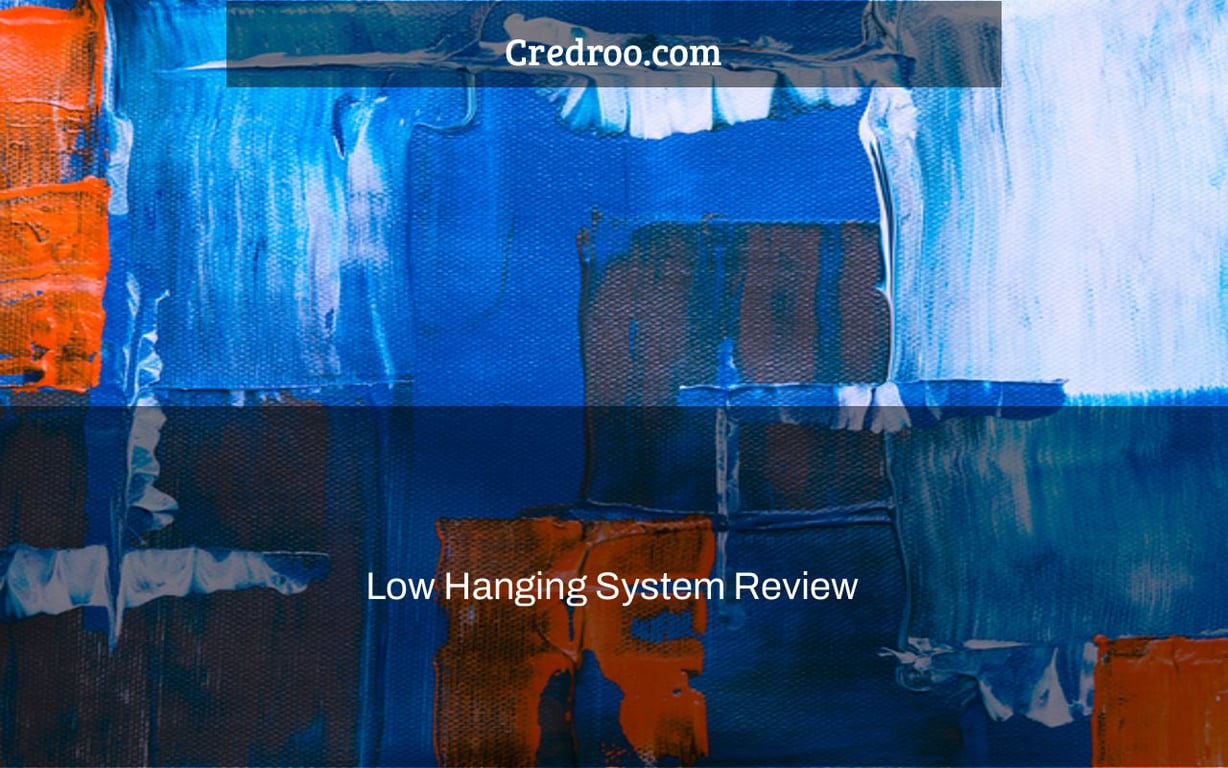 Low Hanging System Review