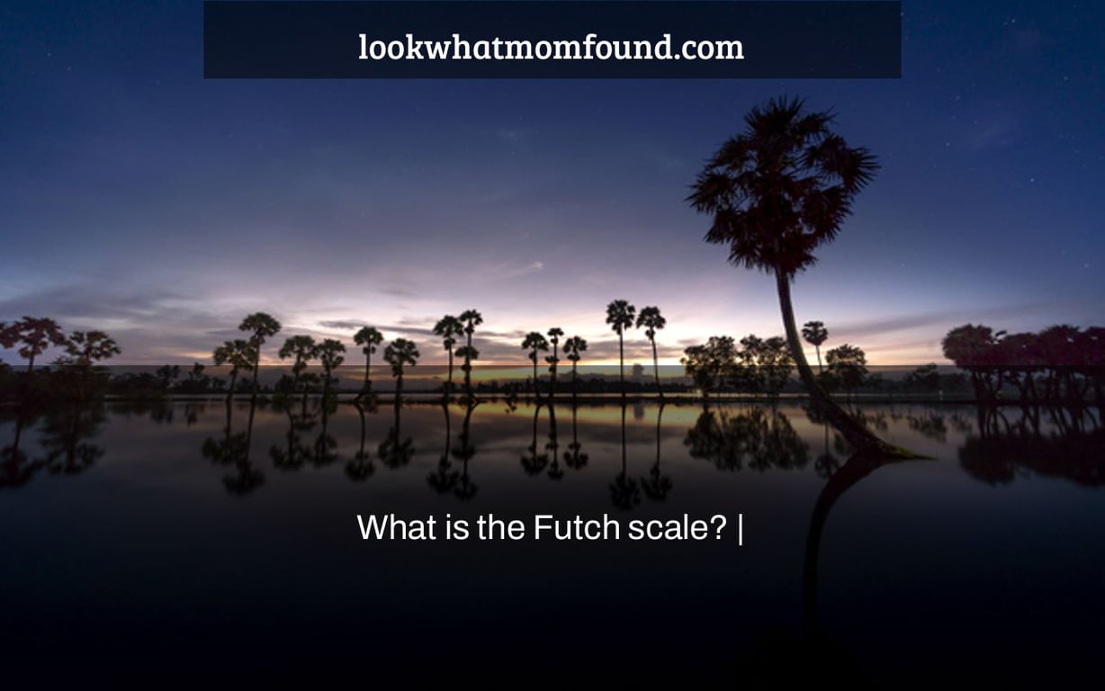 What is the Futch scale?