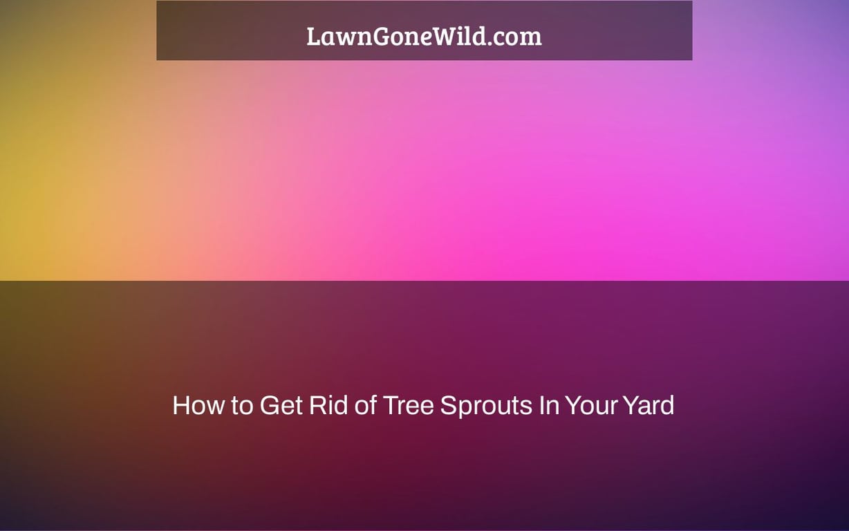 How to Get Rid of Tree Sprouts In Your Yard - Lawn Gone Wild