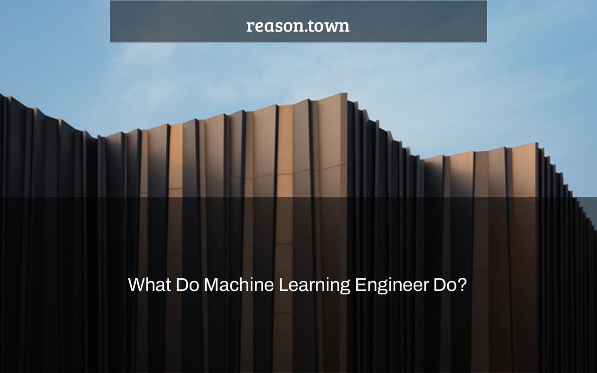 What Do Machine Learning Engineer Do? - reason.town