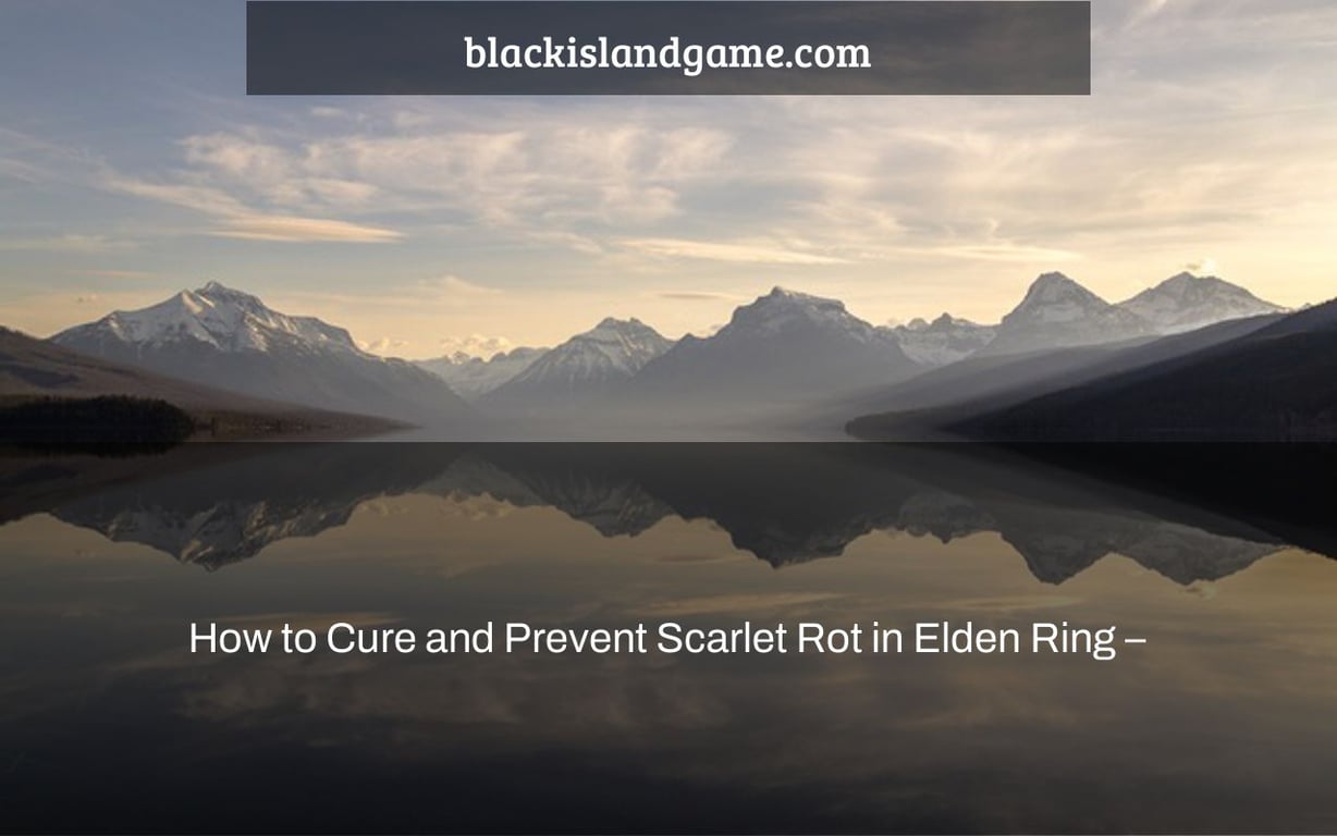 How to Cure and Prevent Scarlet Rot in Elden Ring – – blackislandgame.com