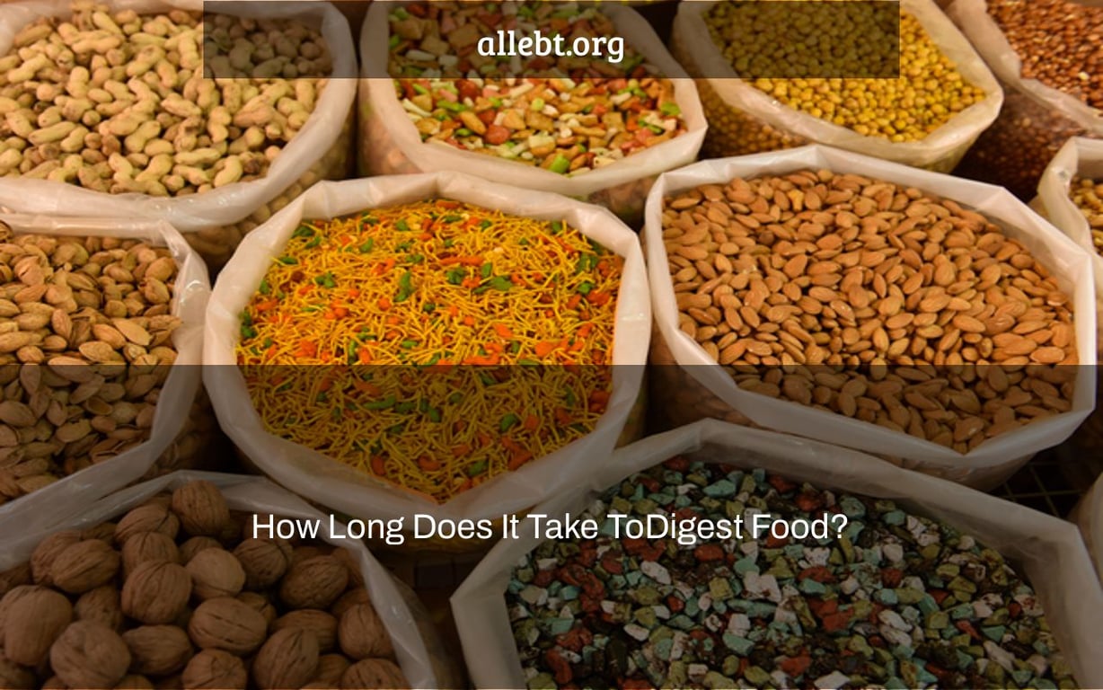 How Long Does It Take ToDigest Food 