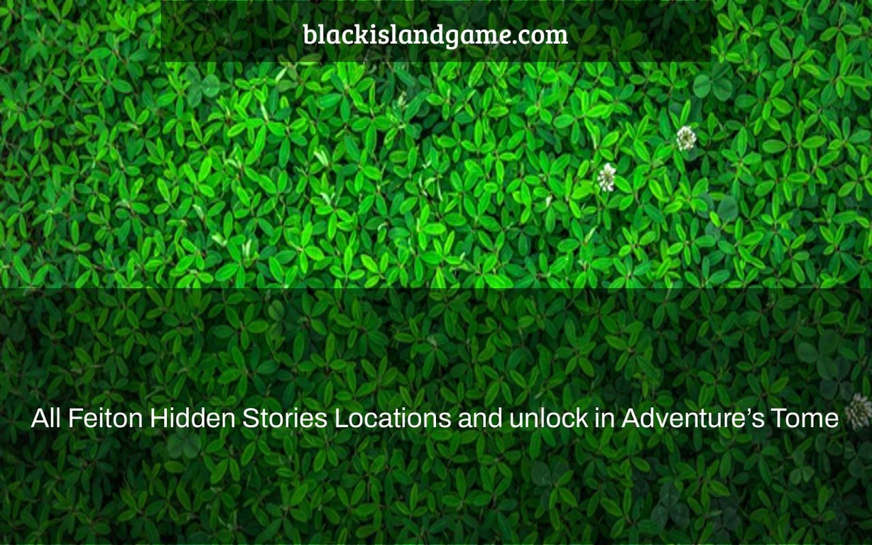 All Feiton Hidden Stories Locations and unlock in Adventure’s Tome ...
