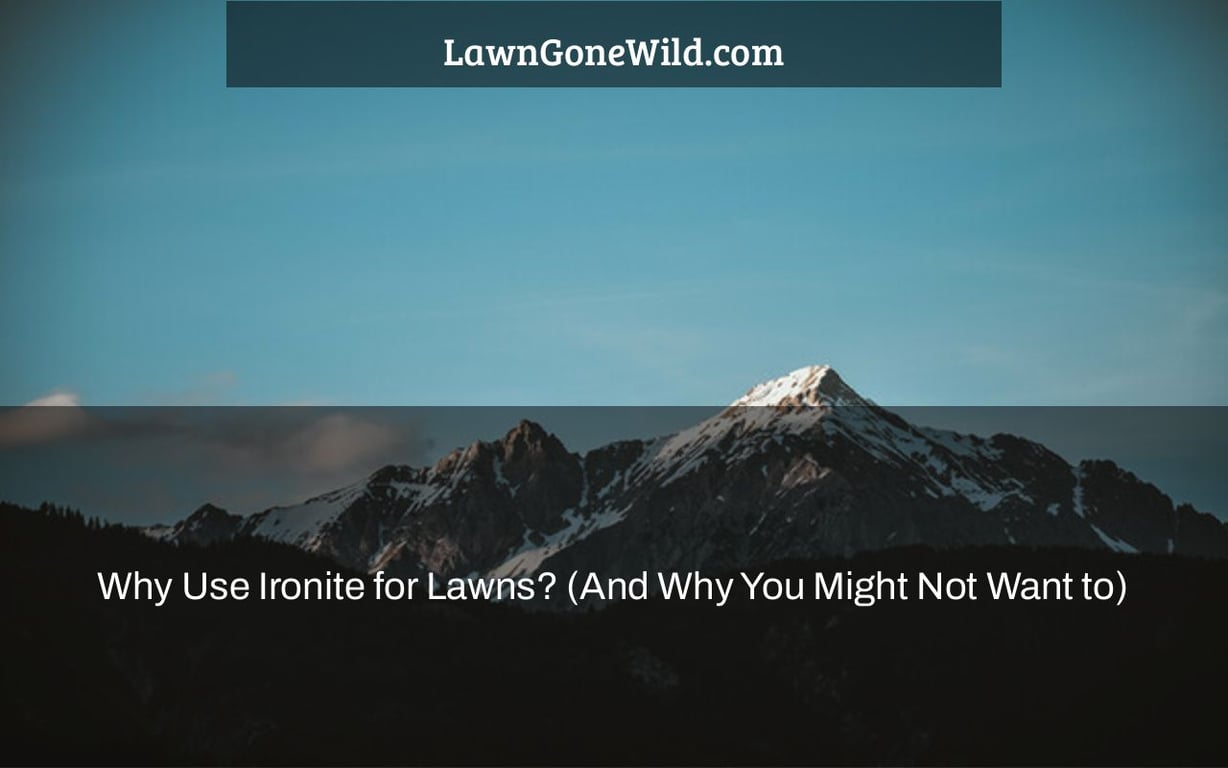 Why Use Ironite for Lawns? (And Why You Might Not Want to) - Lawn Gone Wild