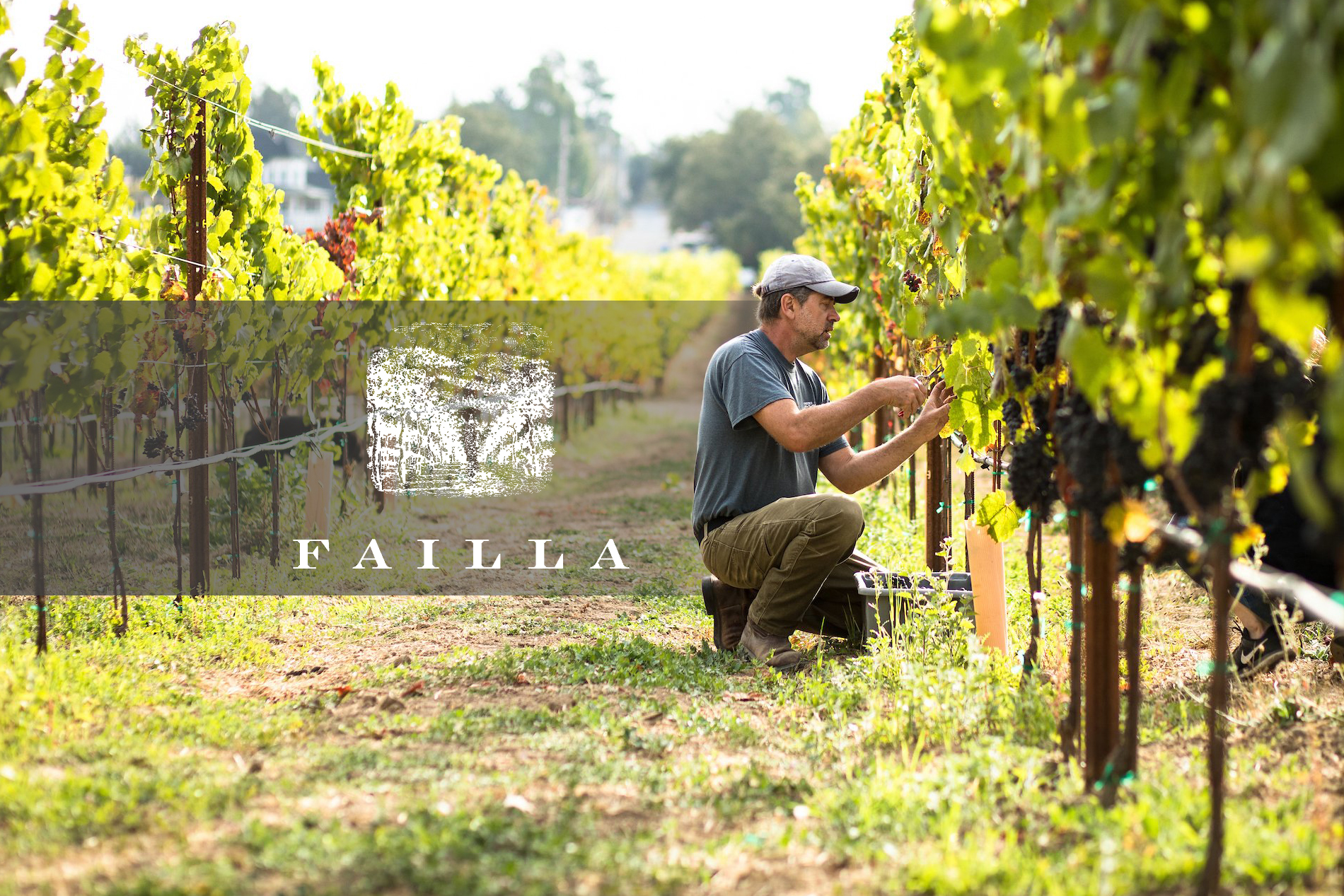 Mayacama | February Connection 2024