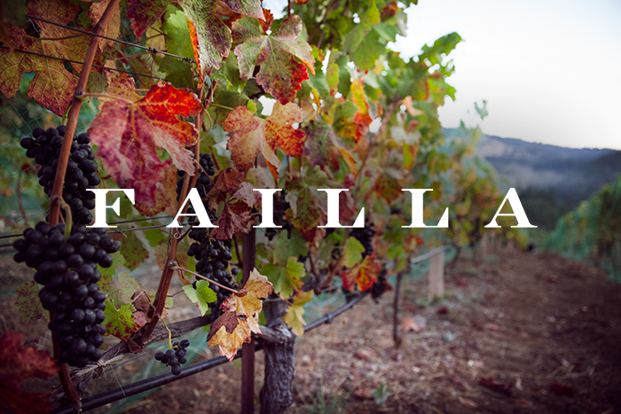 Failla Wine Offer