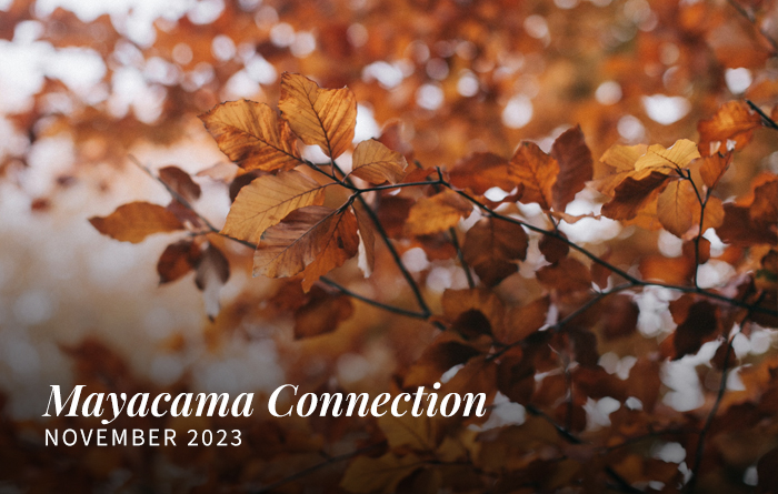 Mayacama | November Connection 2023