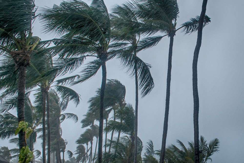 Meteorologists Warn of an "Extremely Active" 2024 Hurricane Season ...