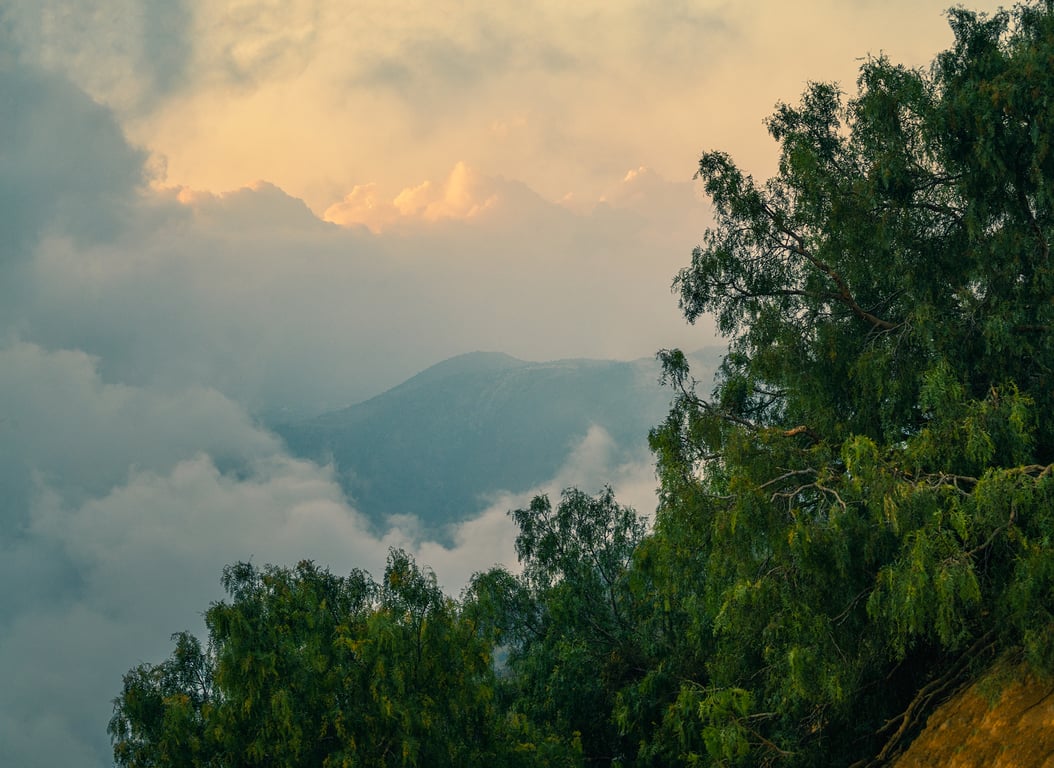 Gallery | Soudah Development