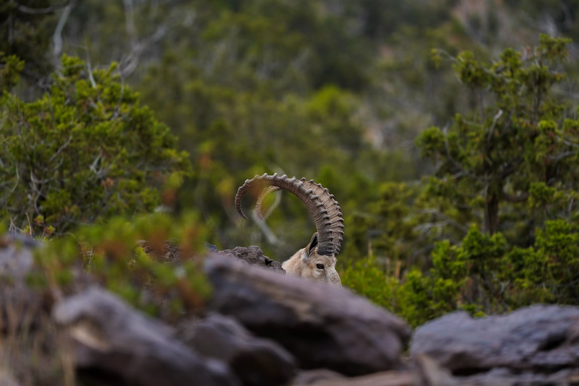 Gallery | Soudah Development