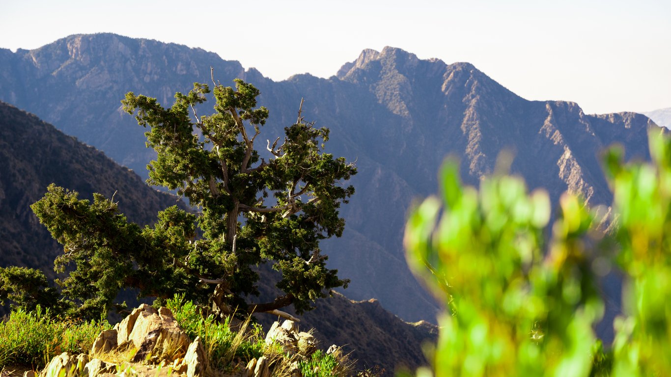 Who We Are | Soudah Development