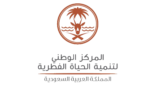 مبادراتنا | السودة للتطوير