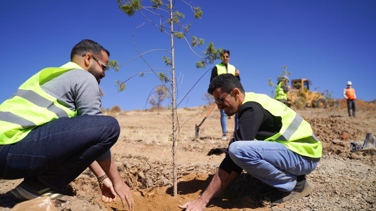 Saudi Green Initiative | Soudah Development