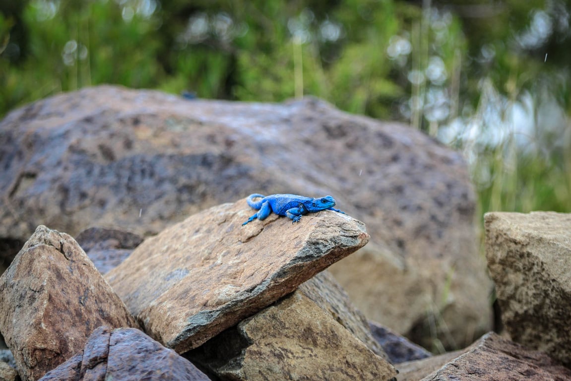 Gallery | Soudah Development