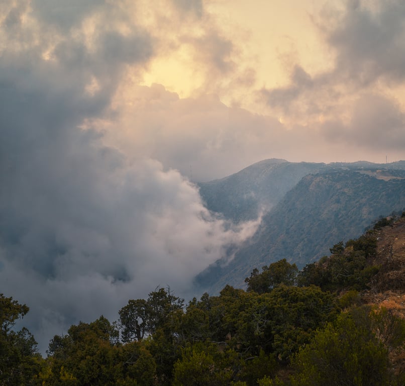 Gallery | Soudah Development