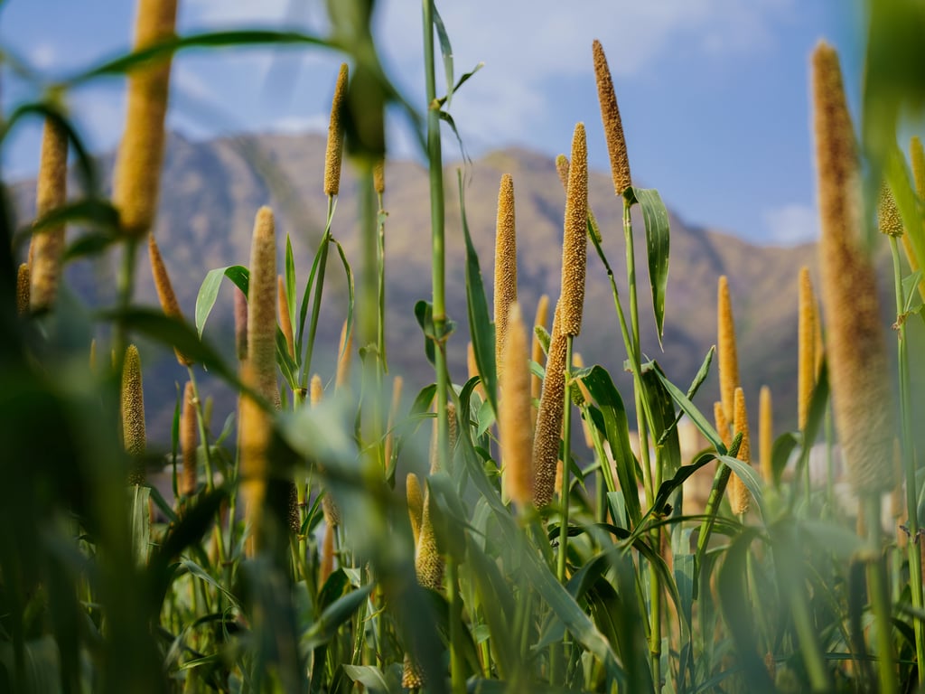 Gallery | Soudah Development