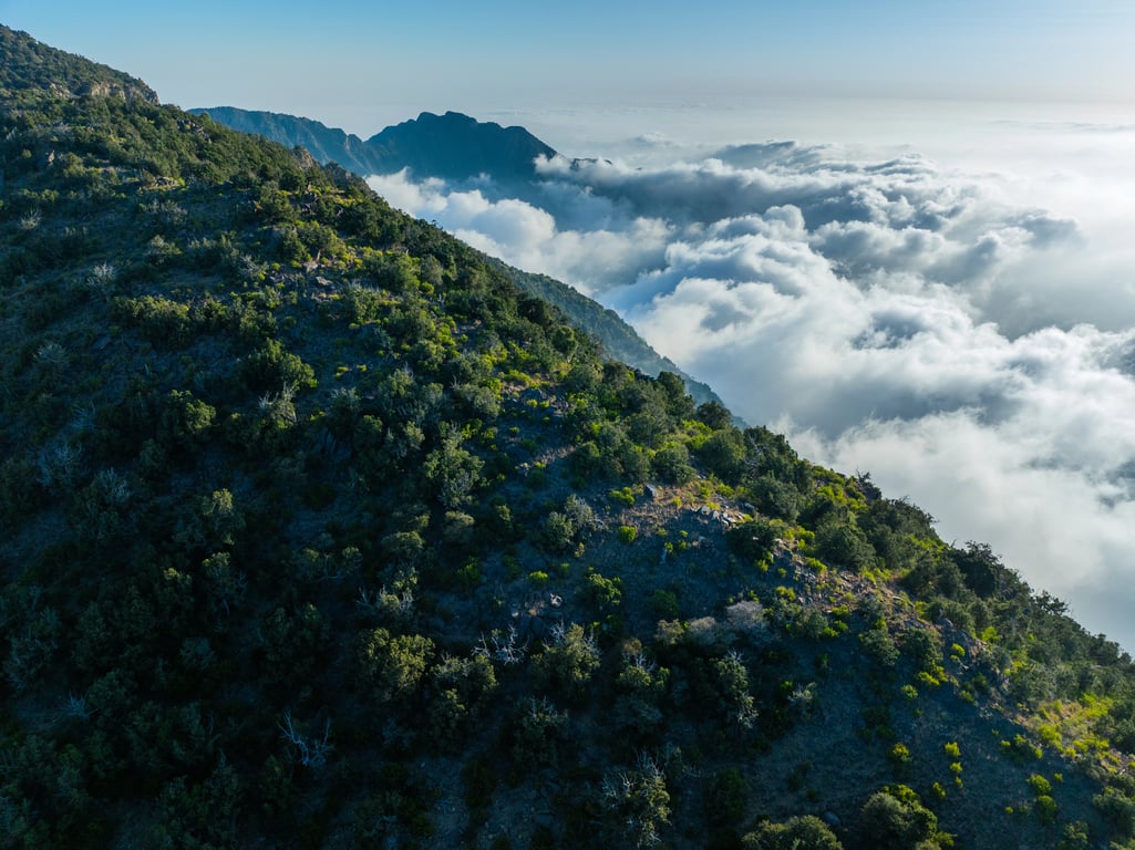 Gallery | Soudah Development