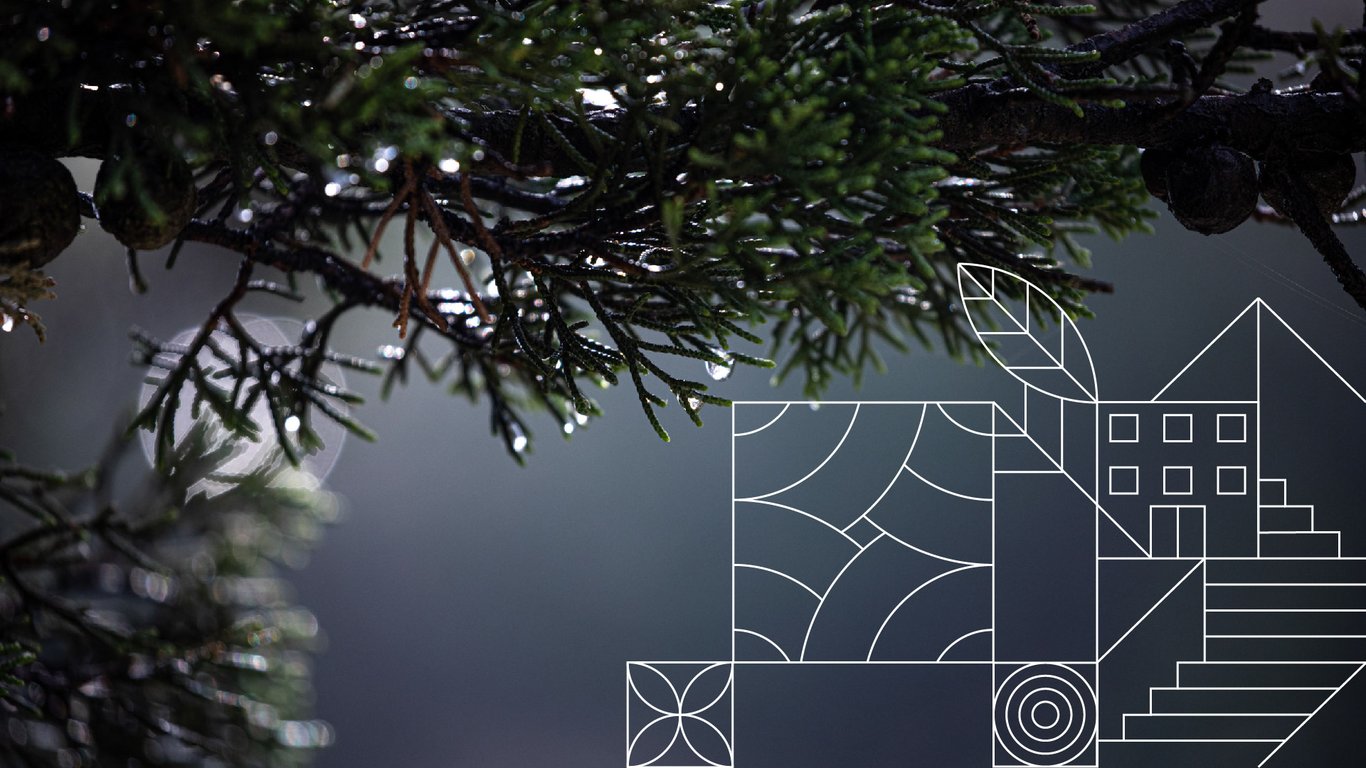 Frequently Asked Questions | Soudah Development