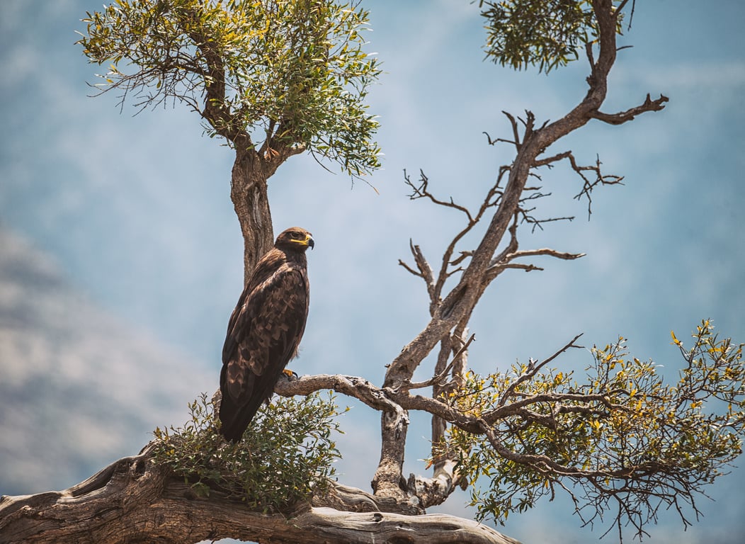 Gallery | Soudah Development