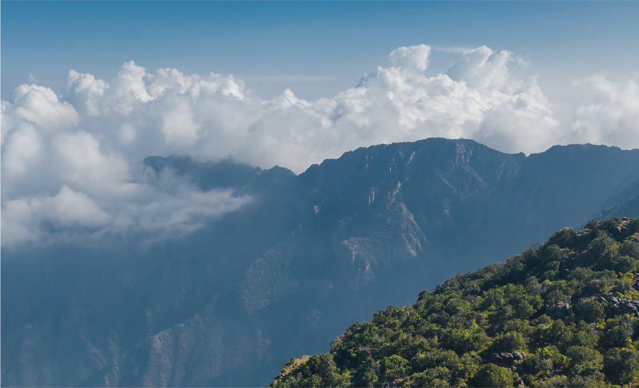 Vendors Registration | Soudah Development