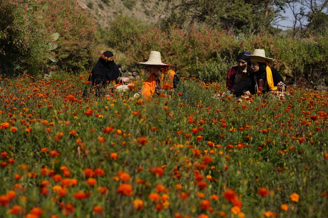 Gallery | Soudah Development