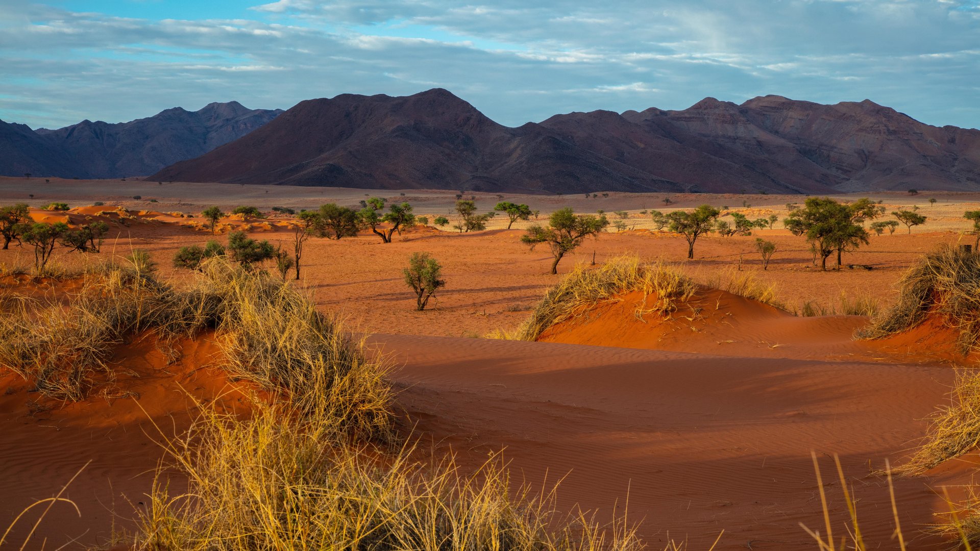 Kitesurfing in Namibia - find your perfect Kite Spot Kitesurfing in Namibia - find your perfect Kite Spot