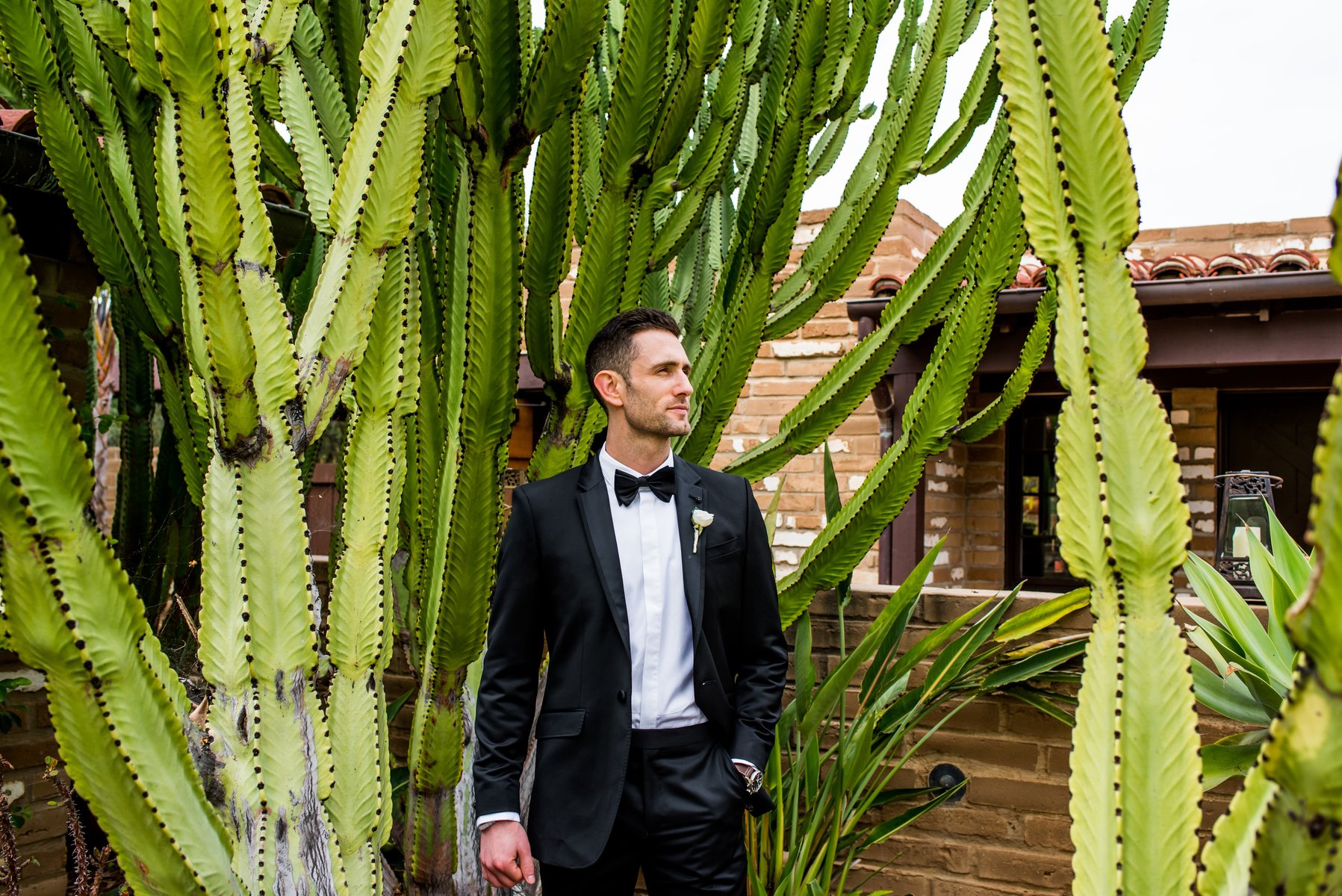 Chic Cascade Style Bliss – chicchiclet