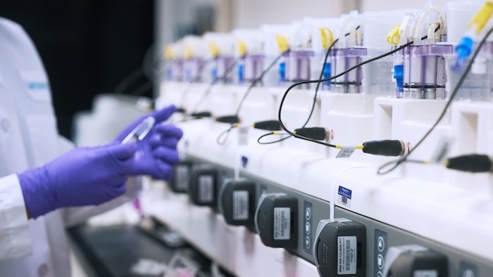 What Are The Solutions For Microbial Manufacturing In ...