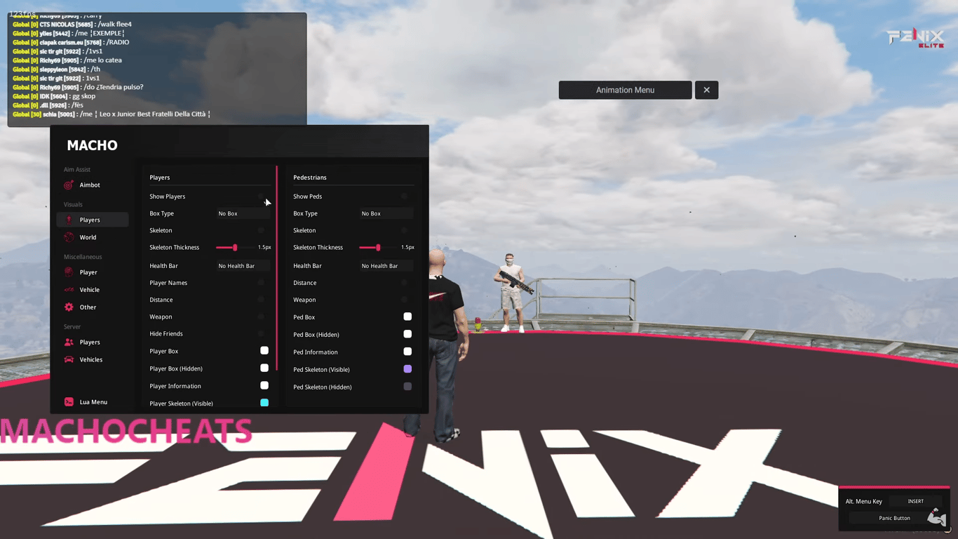 Macho | FiveM Executor