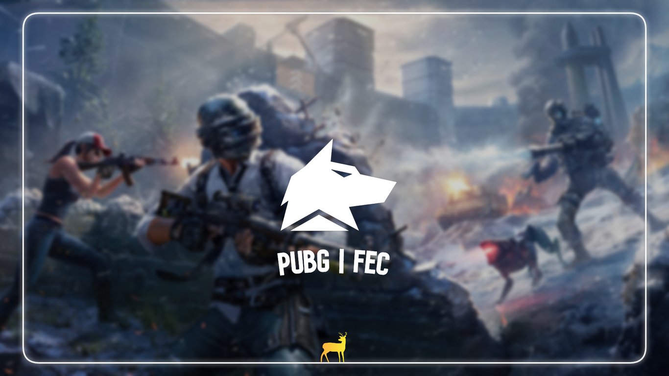 Fecurity | Pubg