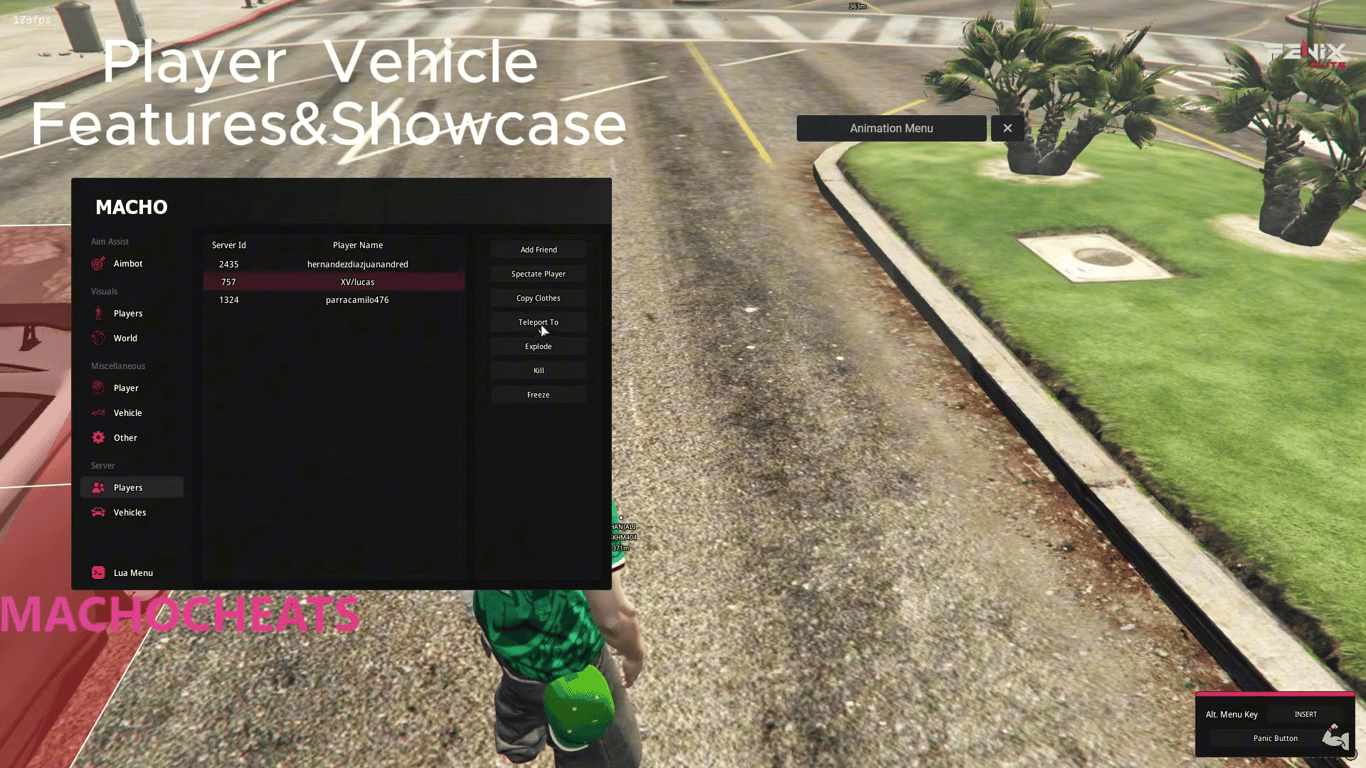 Macho | FiveM Executor