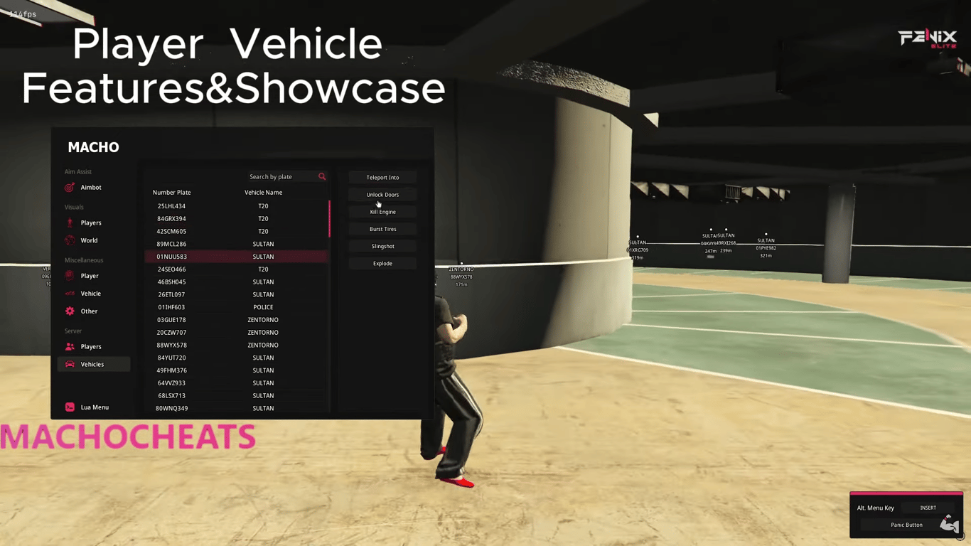 Macho | FiveM Executor