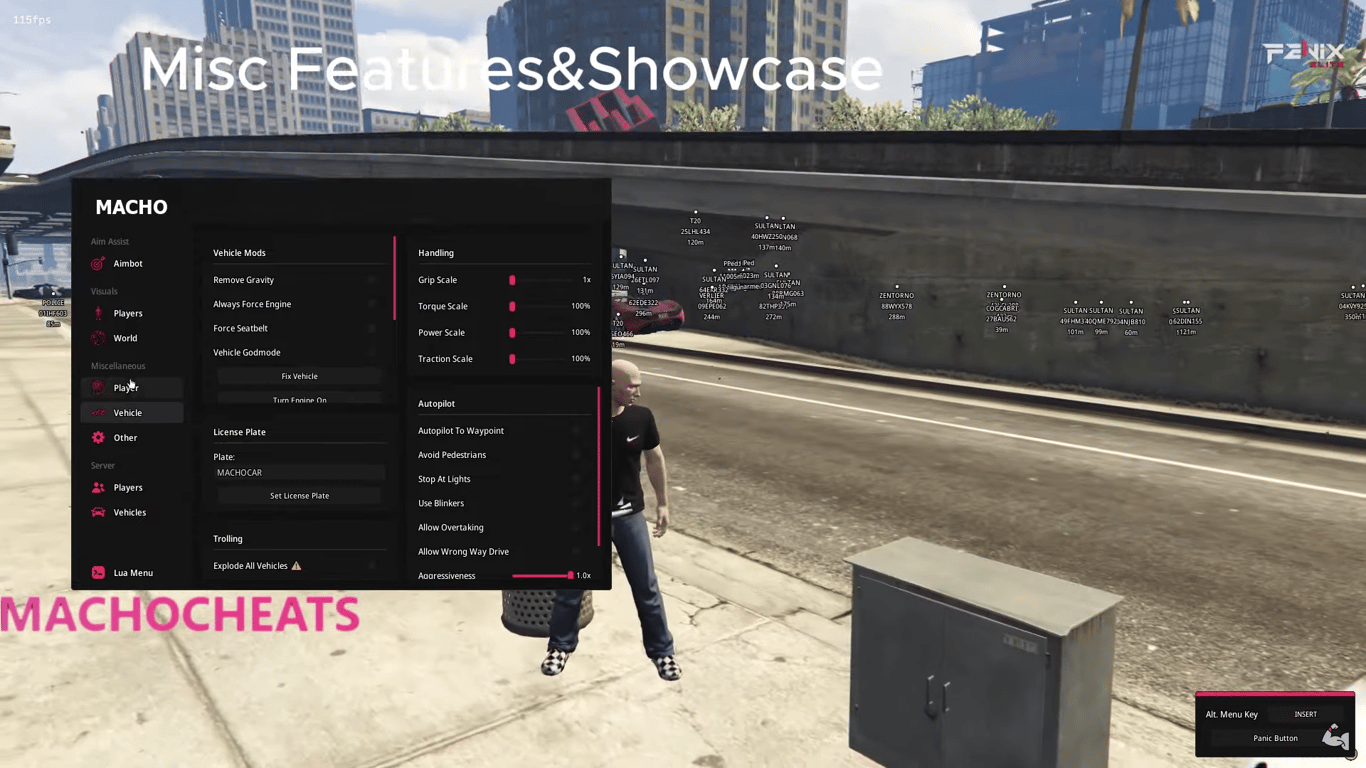 Macho | FiveM Executor