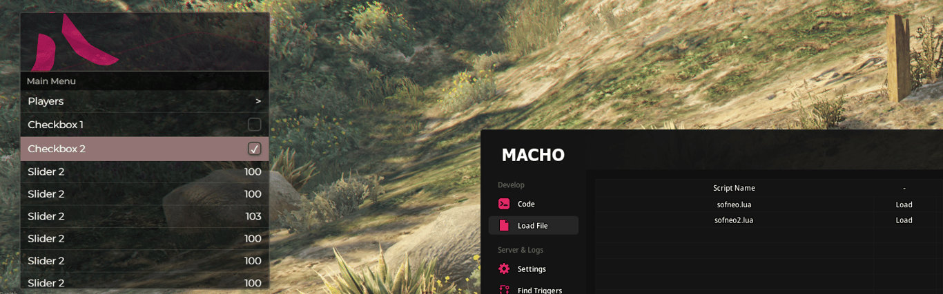 Macho | FiveM Executor