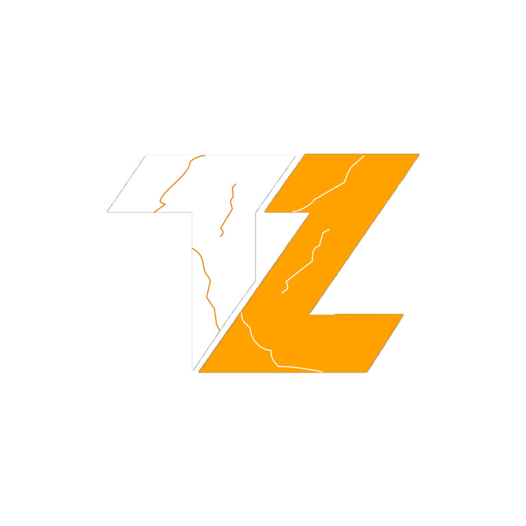 Tz Project