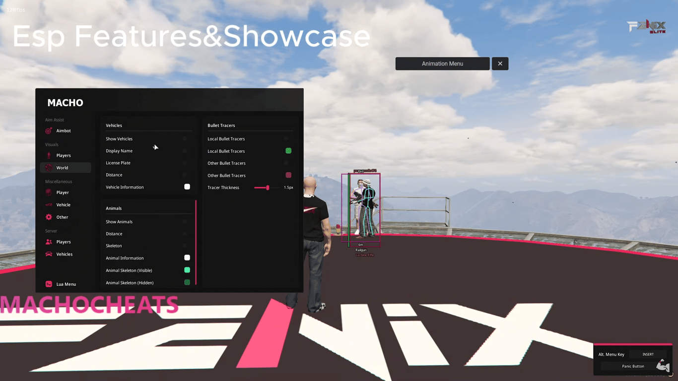 Macho | FiveM Executor