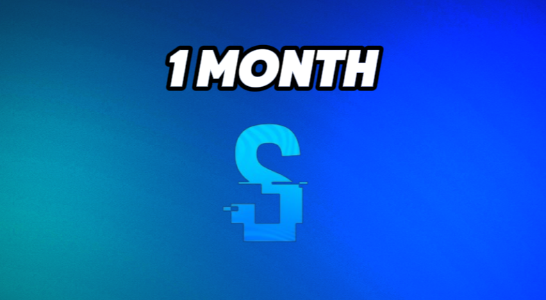 Seliware Executor 1 Month