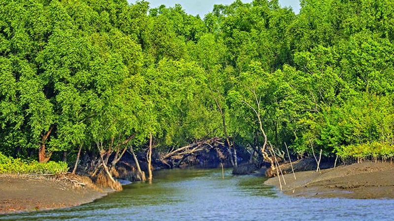 3-month entry ban in Sundarbans