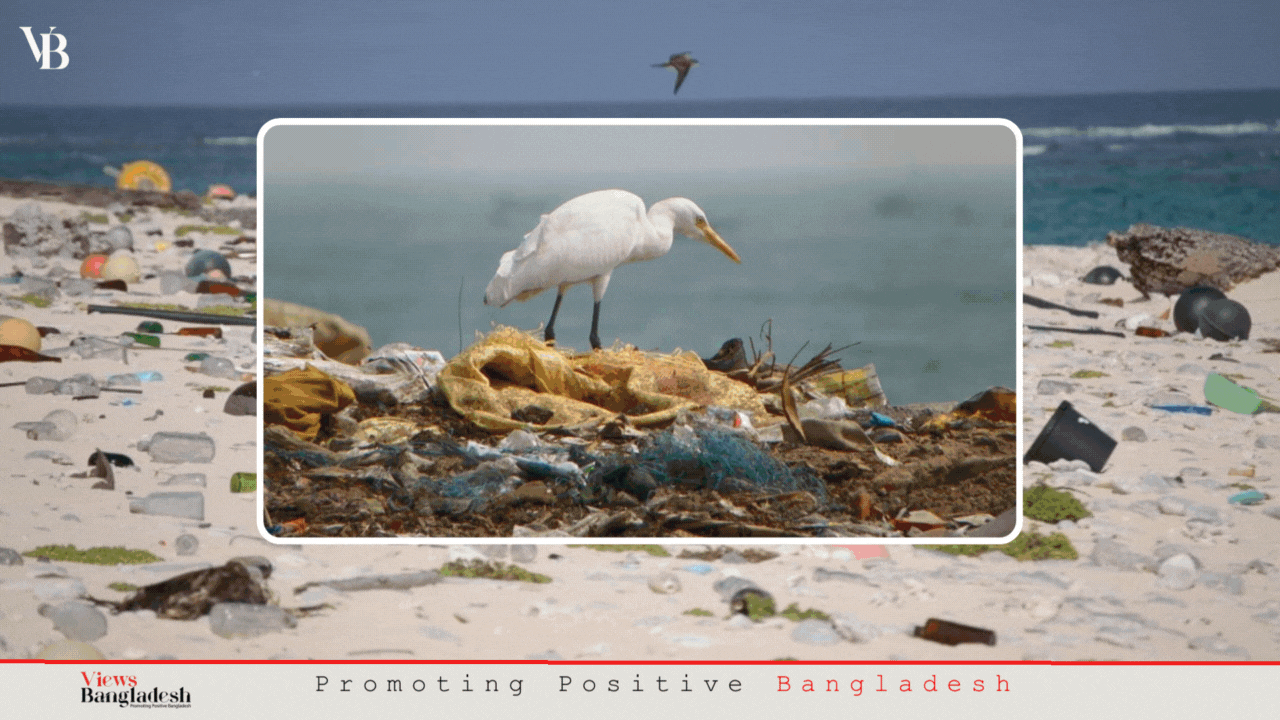 Marine pollution: An alarming threat for South Asian littoral stat