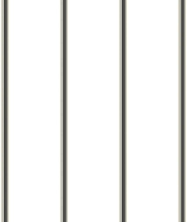 Metal SheetCladding Lysaght Zenith Enseam265 Surfmist - BIMcontent.com