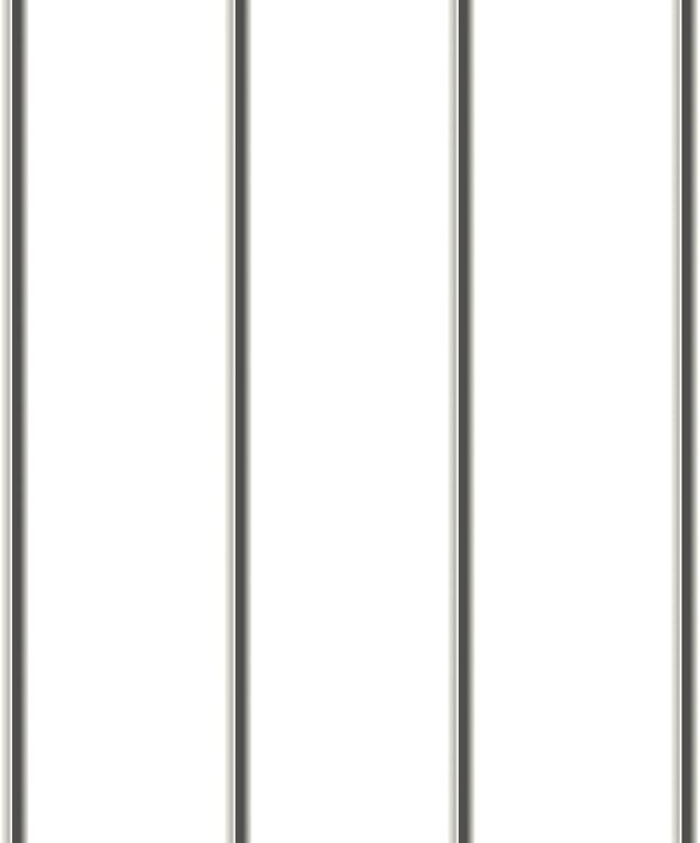 Metal SheetCladding Lysaght Zenith Enseam465 Ironstone - BIMcontent.com